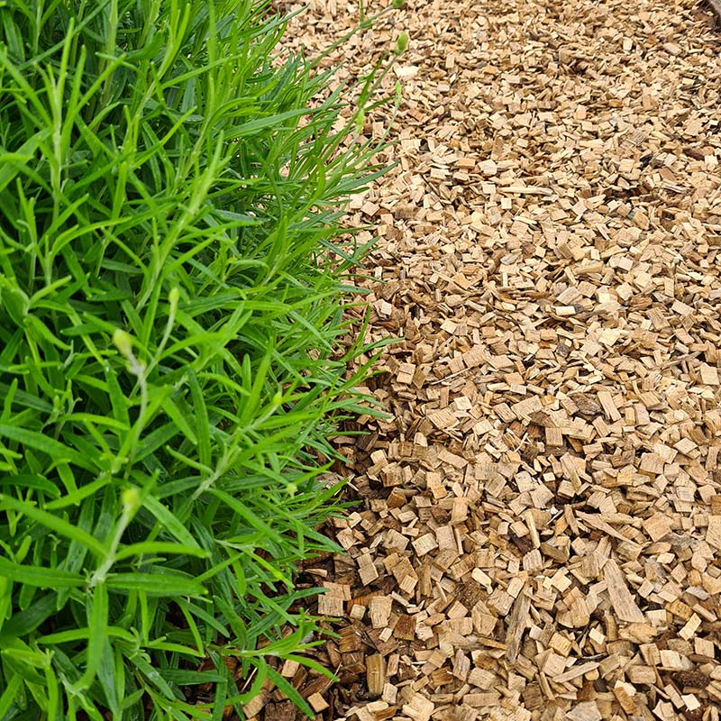 Natura kids | Agrivalor