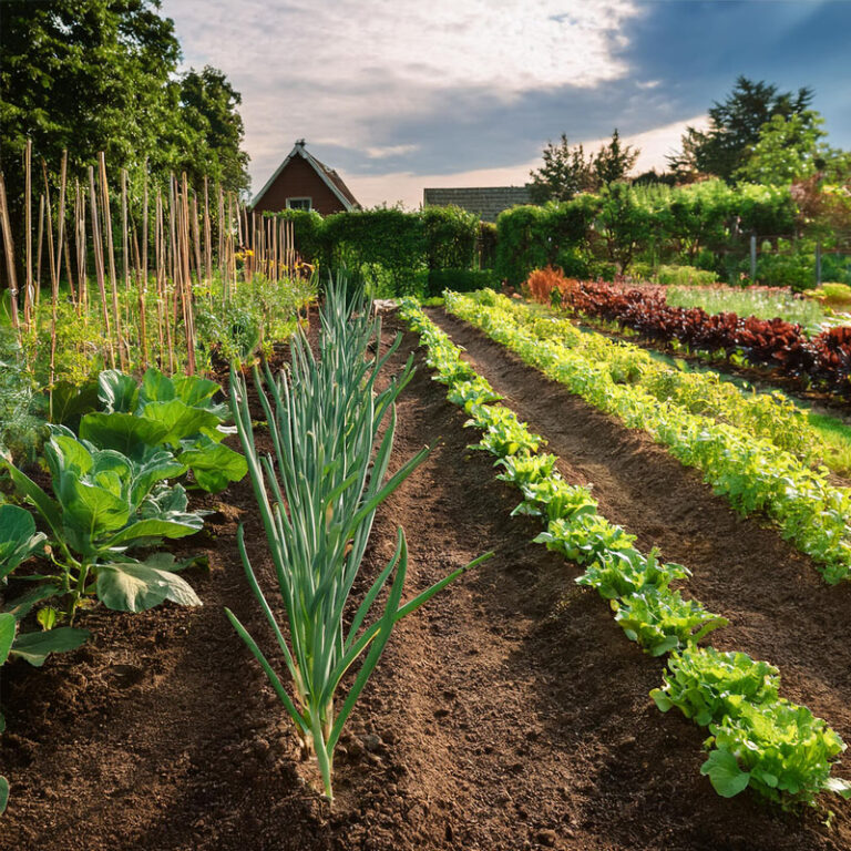 Boutique | Agrivalor